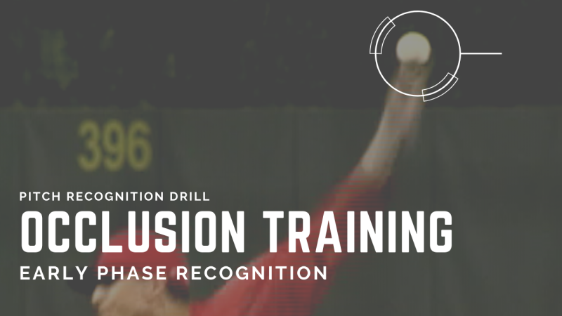 winningbaseball - Applied Vision Baseball