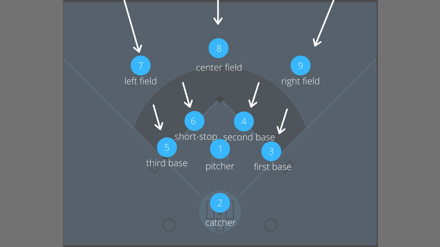 Baseball Positioning - Applied Vision Baseball