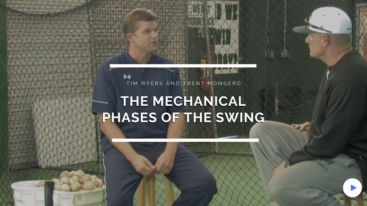 winningbaseball - Applied Vision Baseball